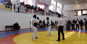 Martial Arts Gif - Gif Abyss