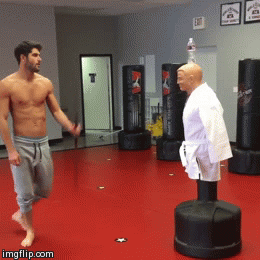 Download Martial Arts Sports Gif