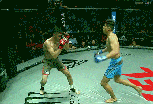 Martial Arts Gif - Gif Abyss