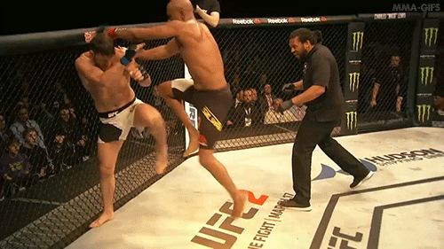 Download Martial Arts Sports Gif