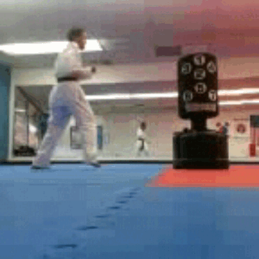 Download Martial Arts Sports Gif - Gif Abyss