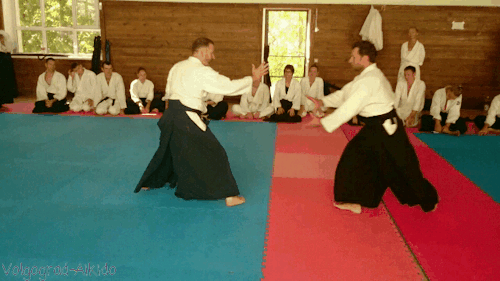 Martial Arts Gif - Gif Abyss