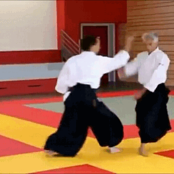 Download Martial Arts Sports Gif - Gif Abyss