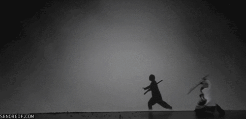 Martial Arts Gif - Gif Abyss