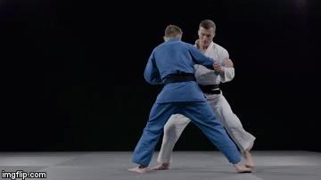 Martial Arts Gif - Gif Abyss