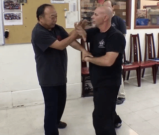 Download Martial Arts Sports Gif - Gif Abyss