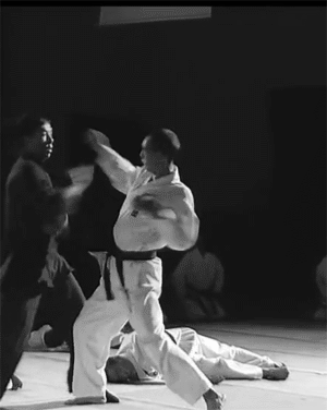 Download Martial Arts Sports Gif
