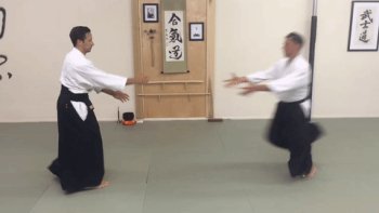Download Martial Arts Sports Gif