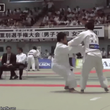 Karate Fight Gif
