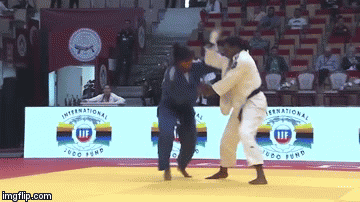 Karate Fight Gif