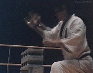 Download Martial Arts Sports Gif
