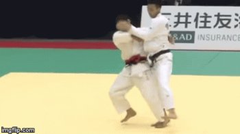 Download Martial Arts Sports Gif
