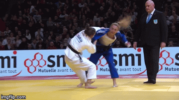 Martial Arts Gif - Gif Abyss