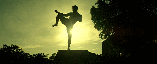 Download Martial Arts Sports Gif