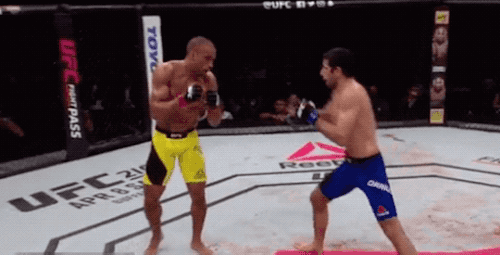Download Martial Arts Sports Gif