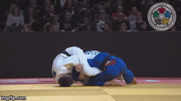Martial Arts Gif - Gif Abyss