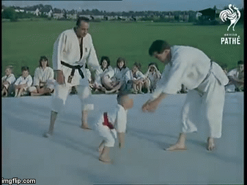 Download Martial Arts Sports Gif