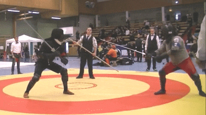 Download Martial Arts Sports Gif