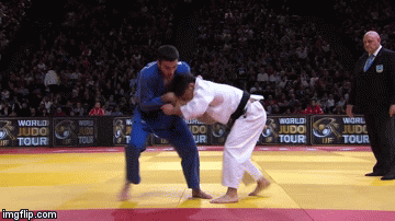 Download Martial Arts Sports Gif - Gif Abyss