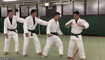 Martial Arts Gif - Gif Abyss