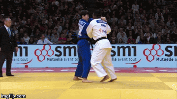 Martial Arts Gif - Gif Abyss