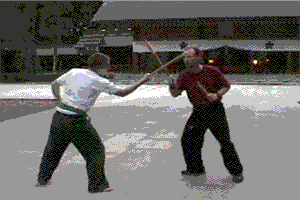 Download Martial Arts Sports Gif