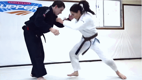 Download Martial Arts Sports Gif