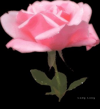 Download Artistic Flower Pink Flower Gif
