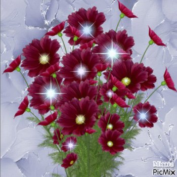 Download Artistic Flower Gif - Gif Abyss