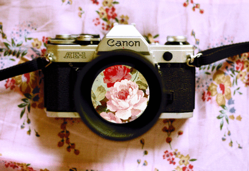 Download Artistic Flower Gif