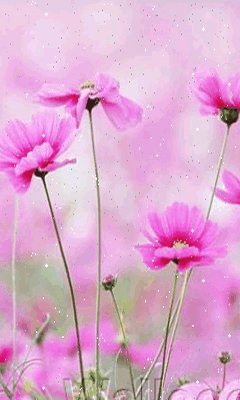 Download Artistic Flower Gif