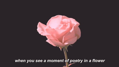 Download Nature Flower Gif - Gif Abyss