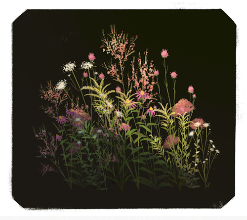 Download Artistic Flower Gif