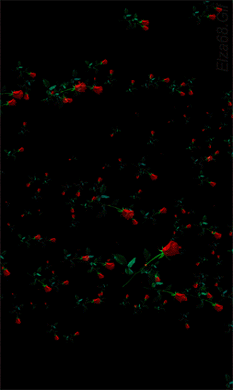 Download Artistic Flower Gif - Gif Abyss