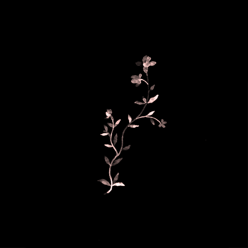 Download Artistic Flower Gif