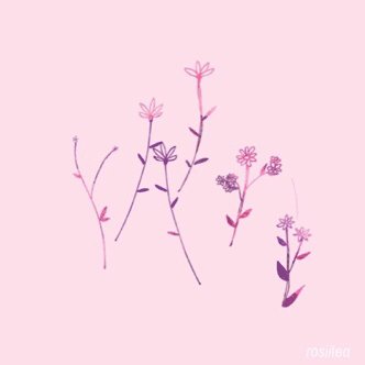 Download Artistic Flower Gif