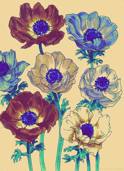 Download Artistic Flower Gif