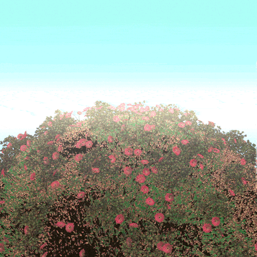 Download Artistic Flower Gif