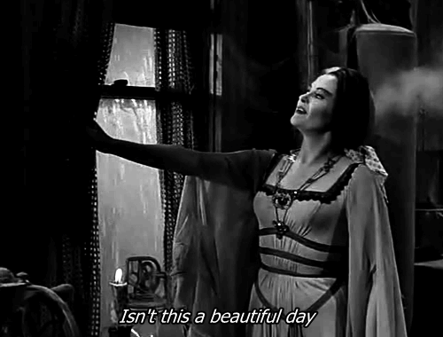 Download TV Show The Munsters Gif - Gif Abyss