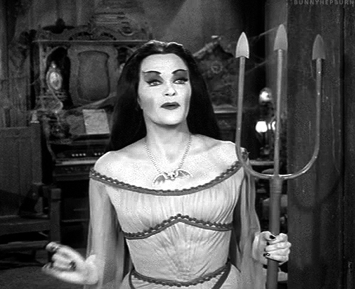 Download TV Show The Munsters Gif