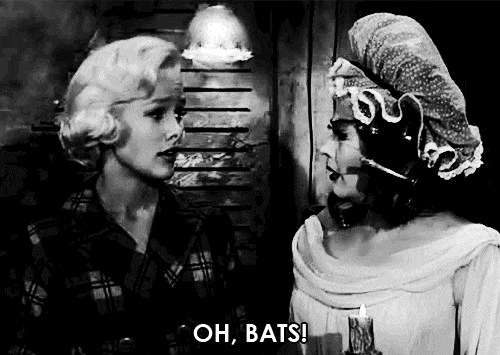 Download TV Show The Munsters Gif