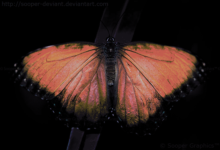 Artistic Butterfly Gif - Gif Abyss