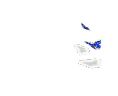 Butterflies Flying Away Gif