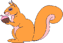 Download Animal Squirrel Gif