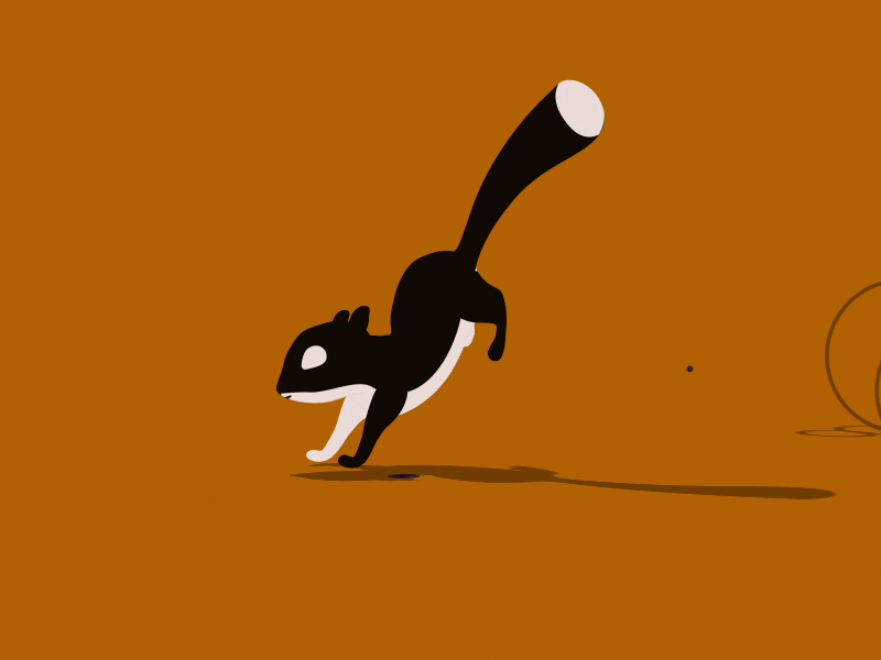 Squirrel Gif - Gif Abyss