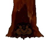 Download Animal Squirrel Gif