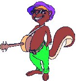 Download Animal Squirrel Gif
