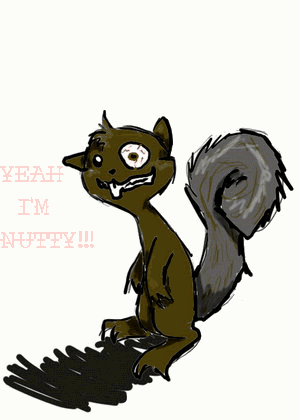 Download Animal Squirrel Gif