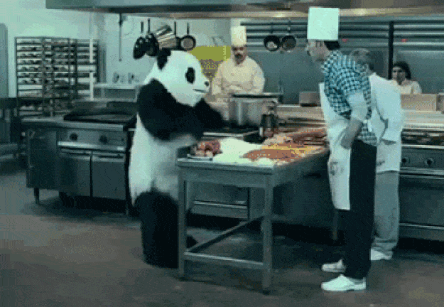 Download Animal Panda Gif