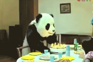 Download Animal Panda Gif - Gif Abyss